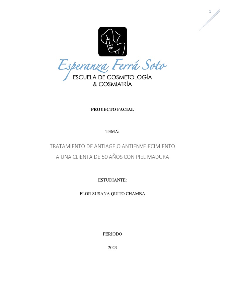 Proyecto Final | PDF