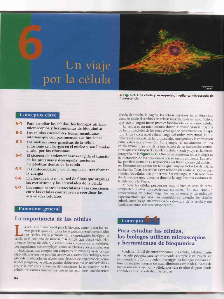 CELULA - Campbell y Reece Biologia General-138-165 | PDF
