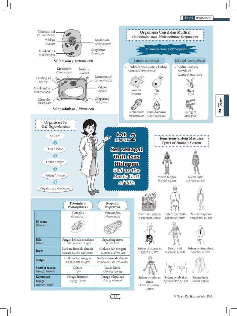 02 Nilam SC T1-Bab2 2018 | PDF