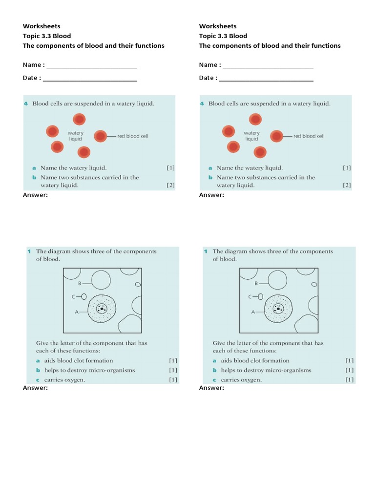 Blood Worksheets S2 | PDF