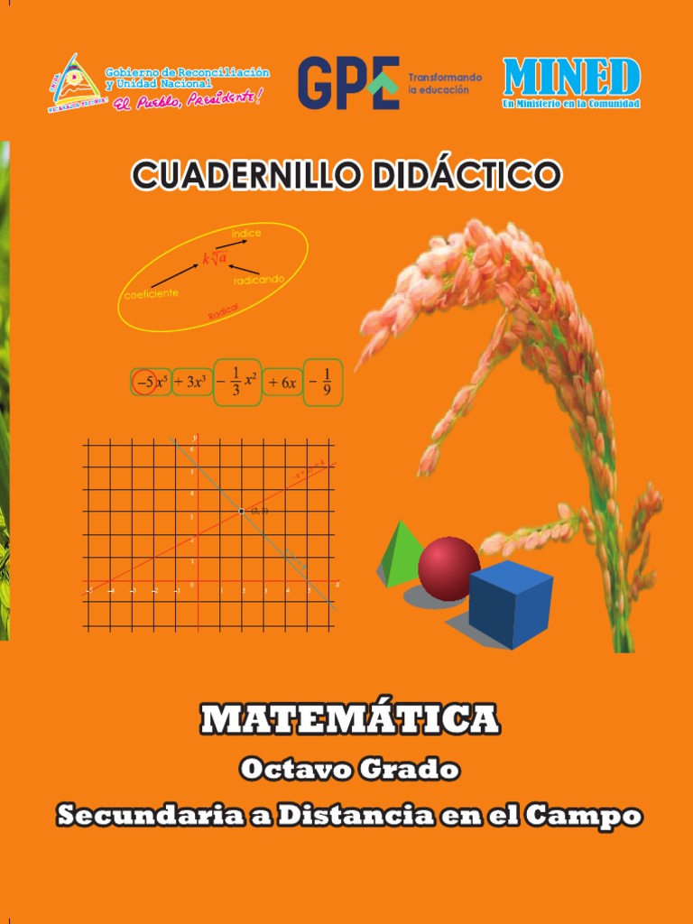 Cuadernillo Matemáticas 8° Grado | PDF | Triángulo | Ángulo