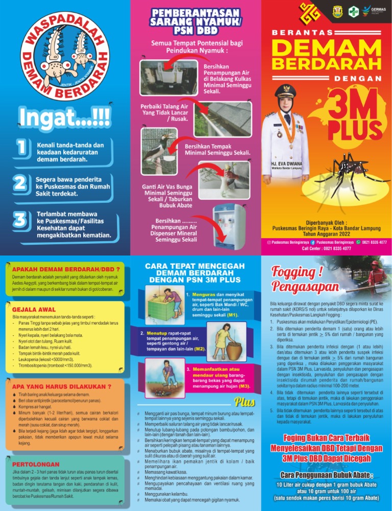3_Leaflet Demam Berdarah | PDF