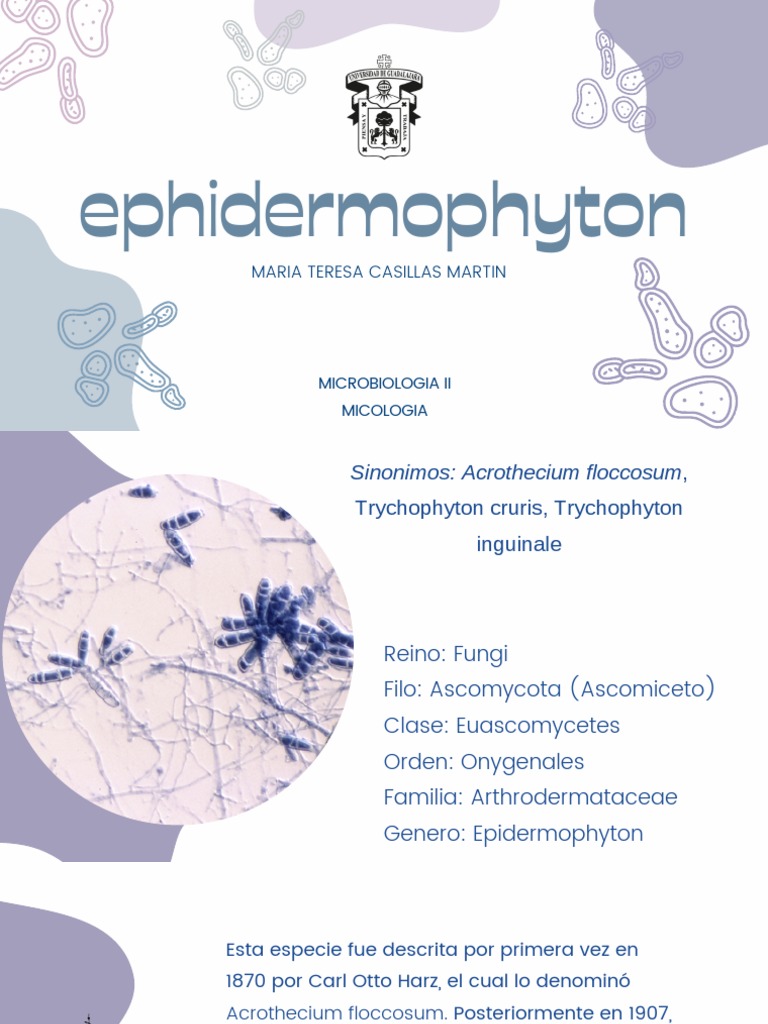 Epidermophyton | PDF | Condiciones cutáneas | Causas de la muerte