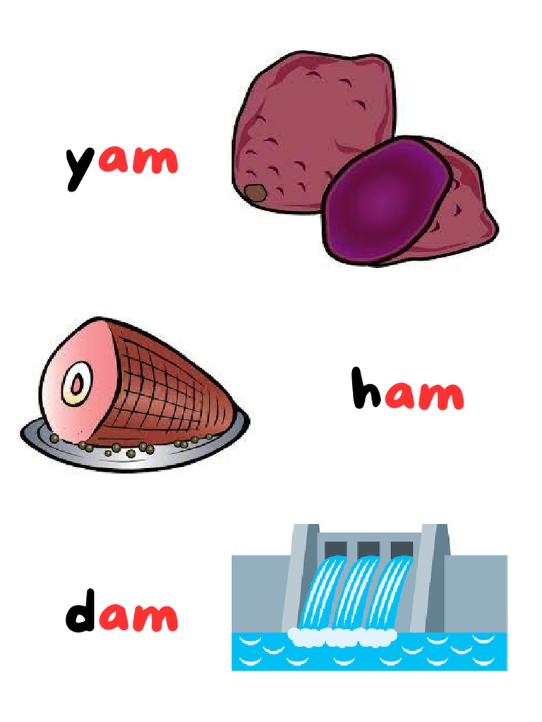 Yam | PDF