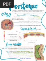 Omentos Mayor y Menor - Anatomía, Ubicación y Función - Kenhub | PDF ...