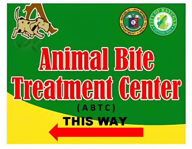Animal Bite Treatment | PDF