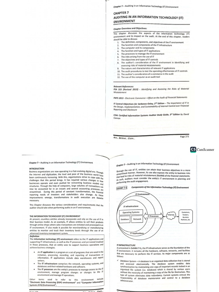 Chapter 7 Auditing in An Information Technology (IT) Environment | PDF