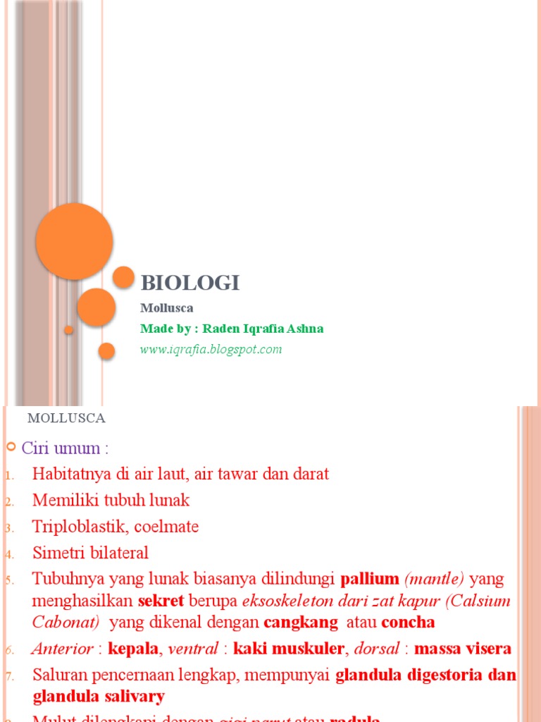 Mollusca 1 | PDF
