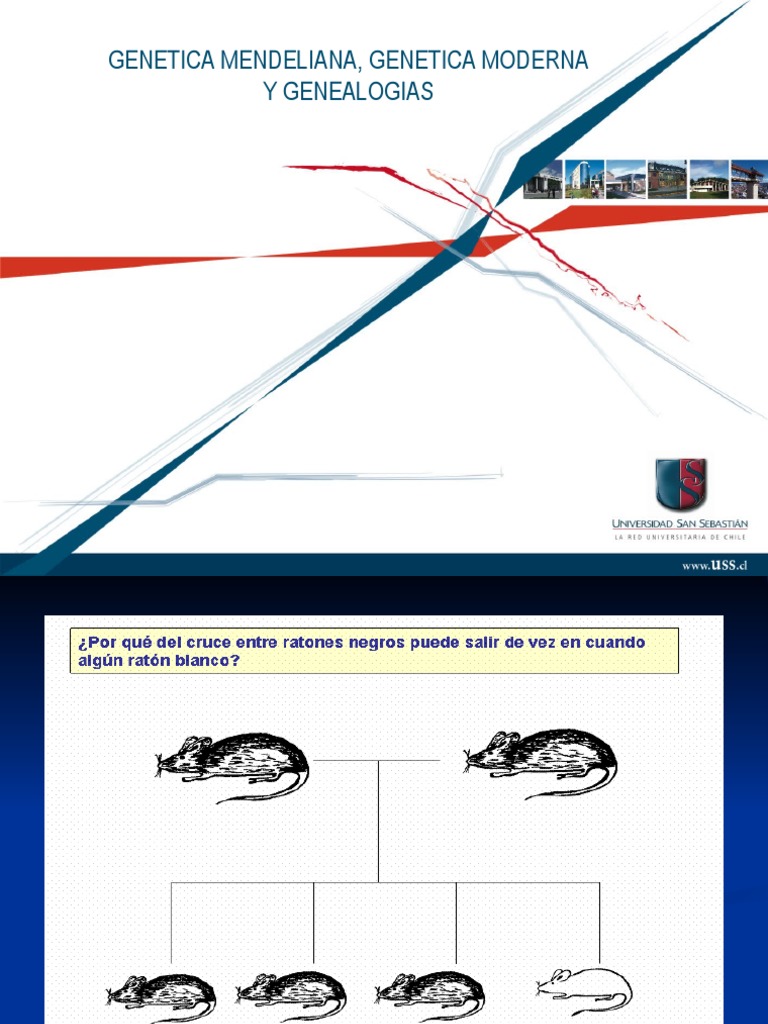 21.-Genetica Mendeliana | PDF | Dominancia (Genética) | Alelo