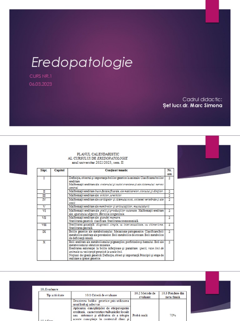 Cursul 1 Simona Marc 2023 | PDF