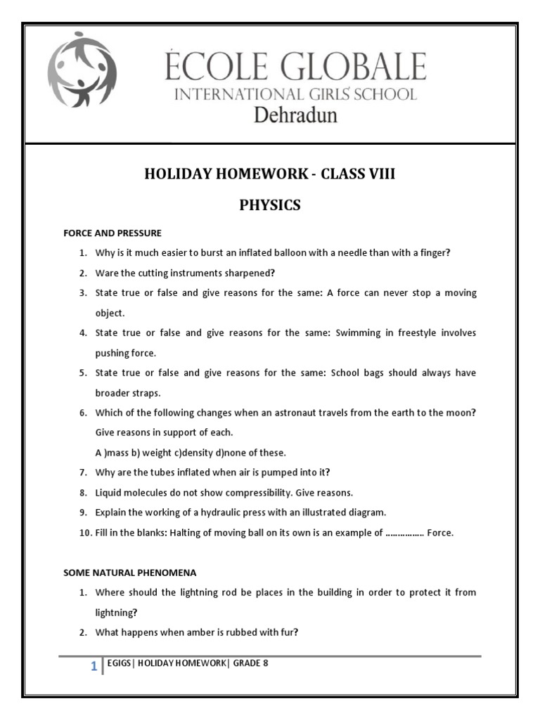 Grade 8 Holiday Homework: Physics Concepts | PDF | Sound | Waves