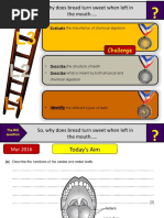 RVS CODES | PDF | Abdomen | Gastroenterology