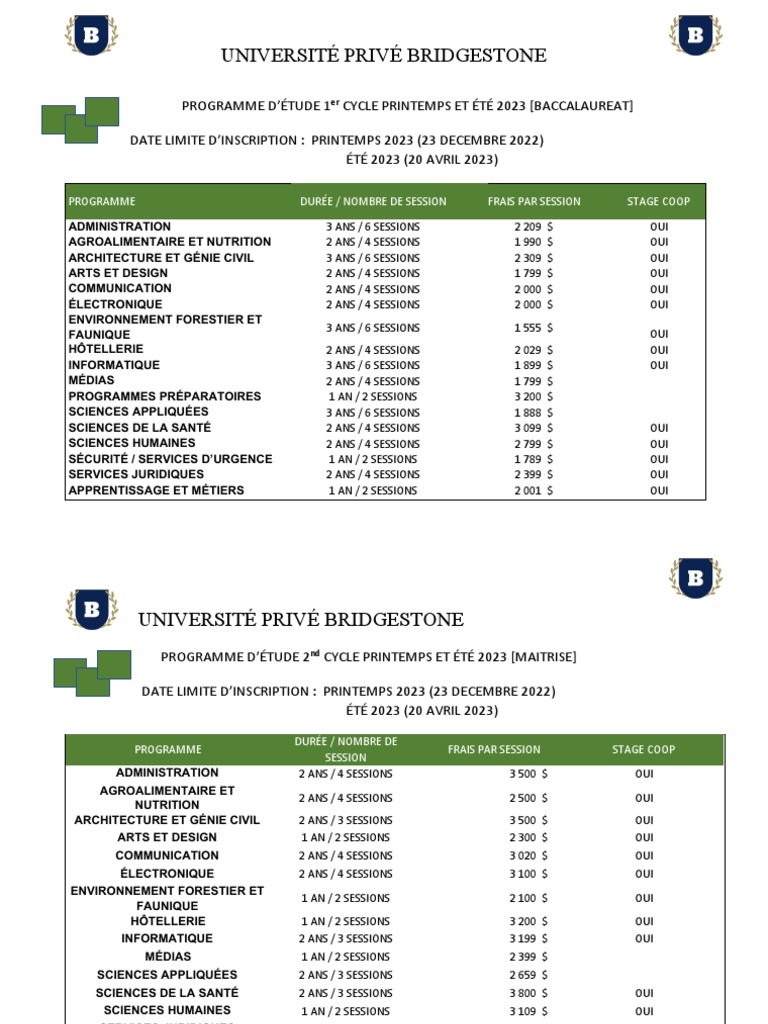 Brochure Programme Université Privé Bridgestone | PDF