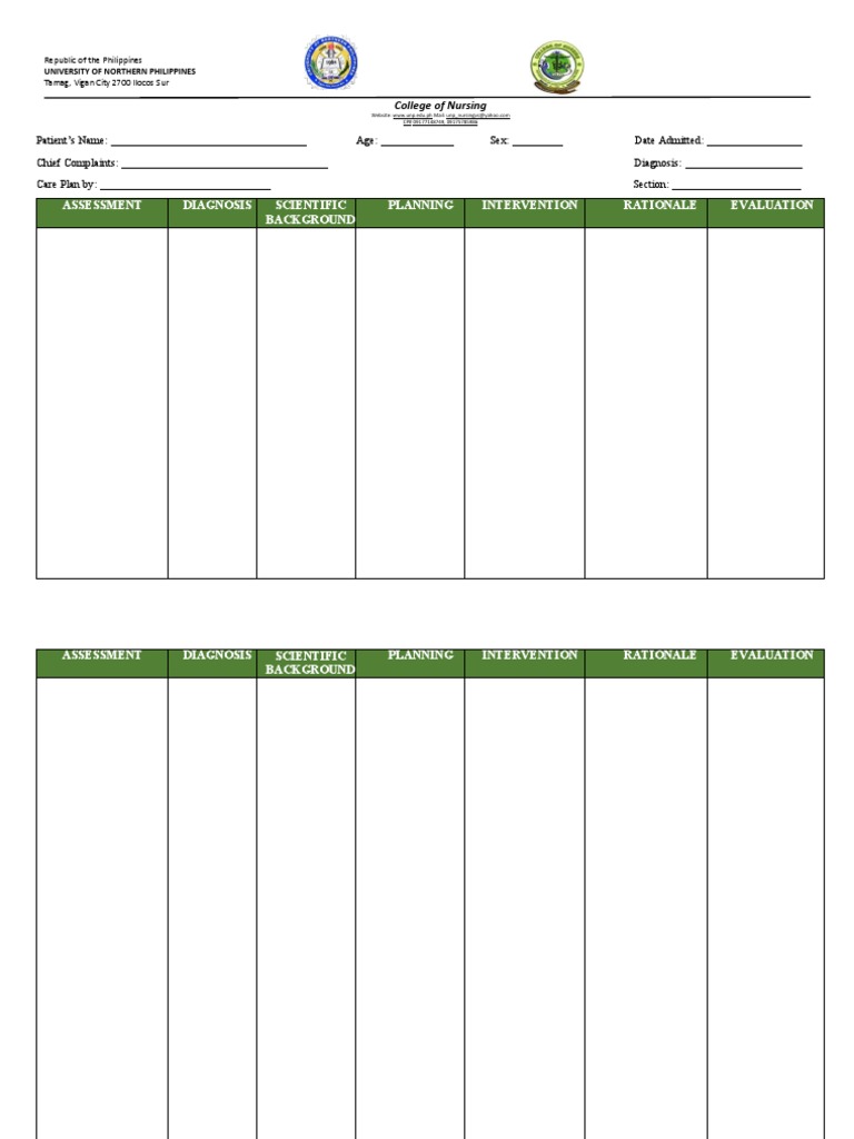 Nursing Care Plan Template | PDF