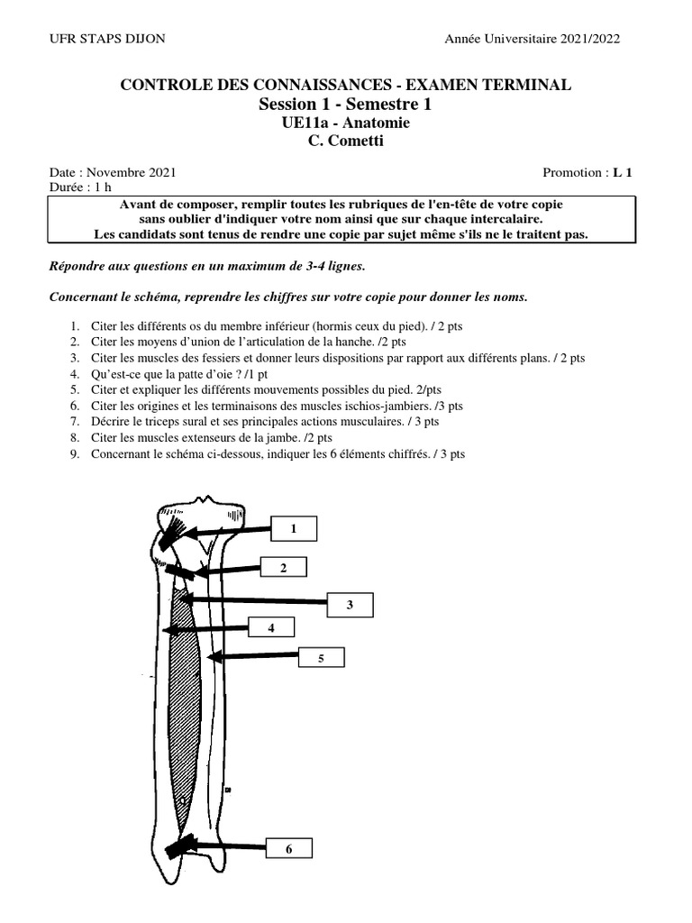 Annales L1 2021 2022 | PDF