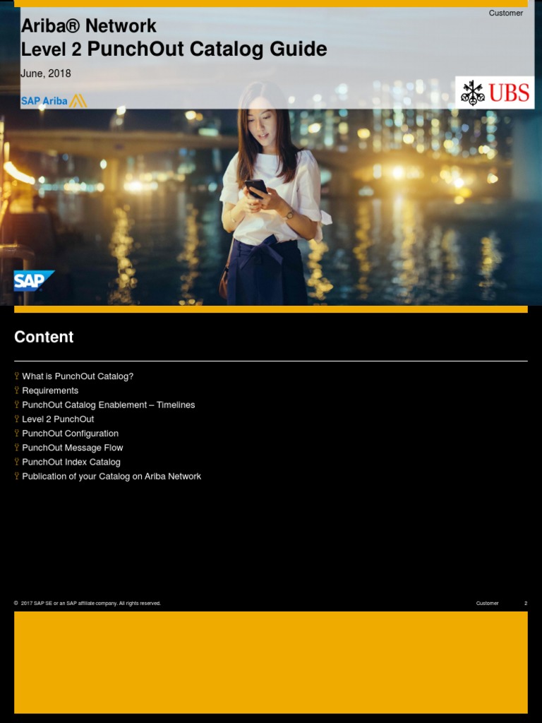 Ariba Network Level 2 Punch Out Catalog Guide | PDF | Public Key ...