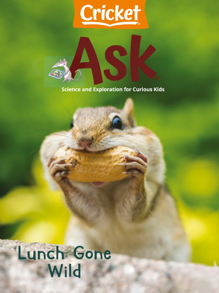 2023 07 01ask | PDF | Snake | Koala
