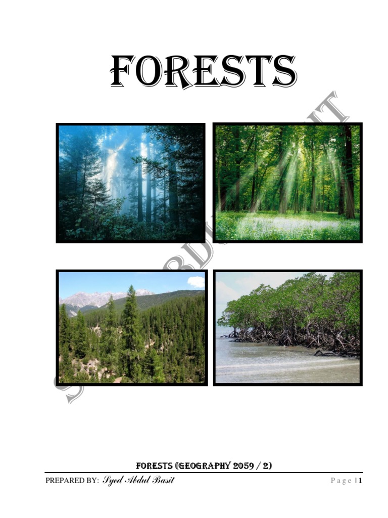Forests | PDF