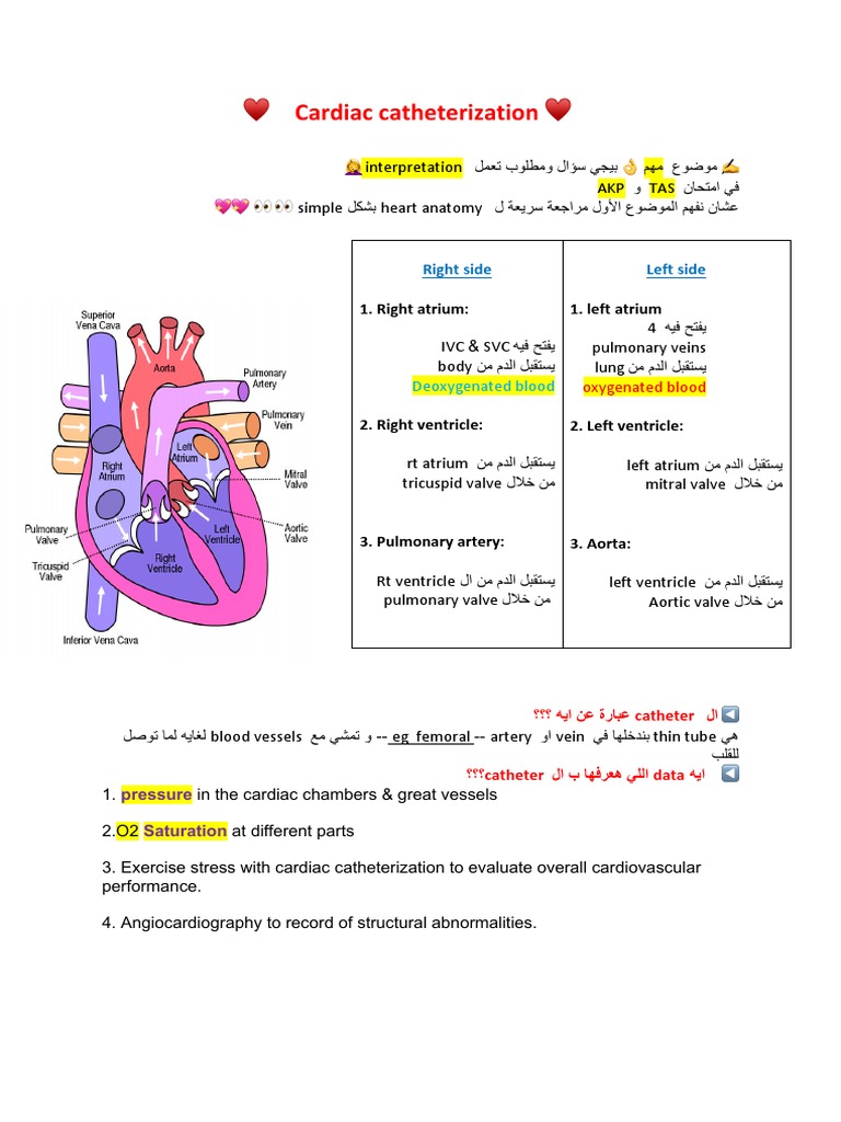 Cardiac Cath Notes | Download Free PDF | Atrium (Heart) | Heart Valve