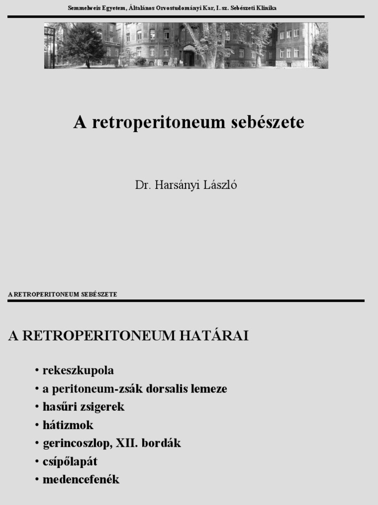 Retroperitoneum Harsanyi Laszlo3578 | PDF