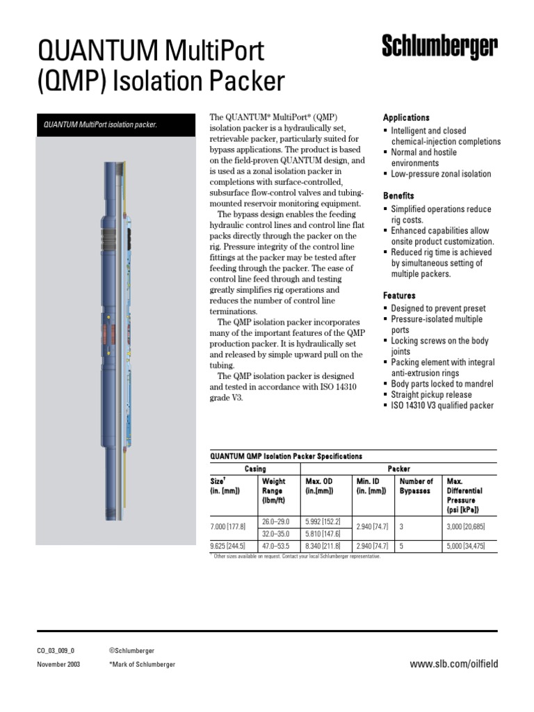 SLB Quantum Multiport Packer | PDF | Gas Technologies | Chemical ...