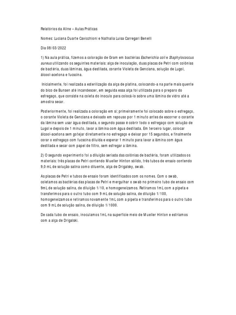 relatório aline | PDF