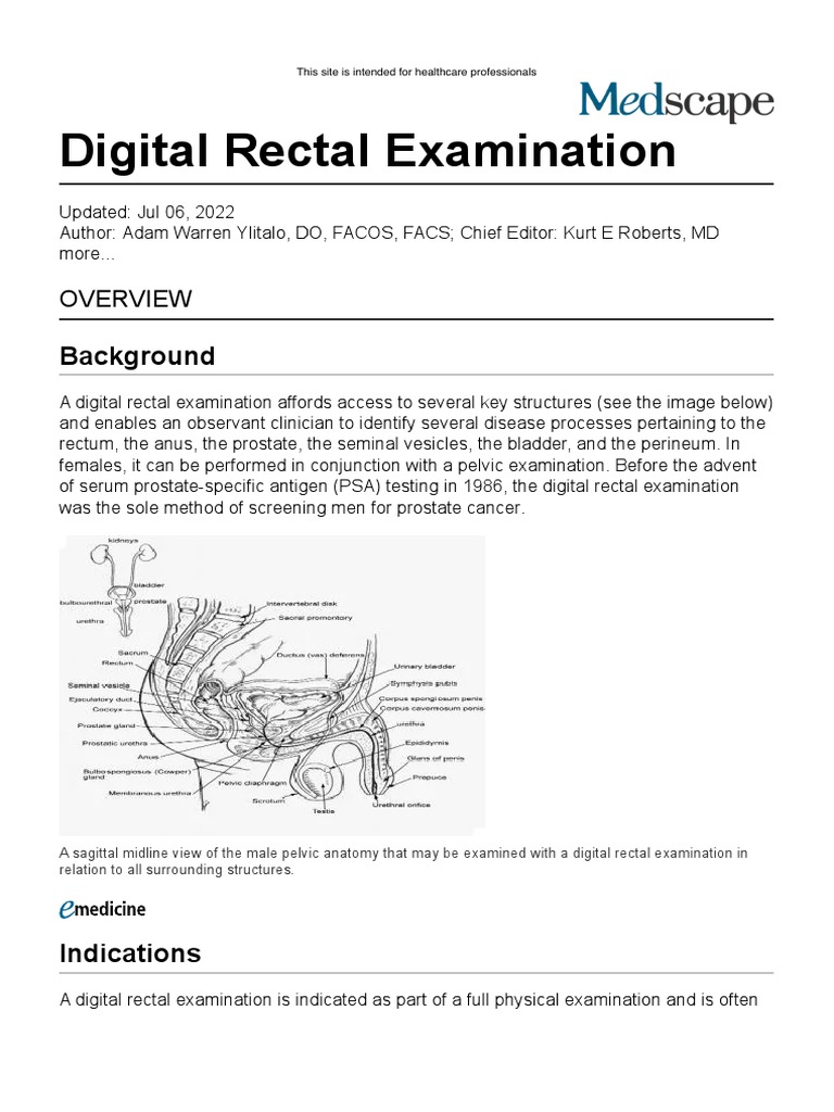 Digital Rectal Examination- Background, Indications, Contraindications ...