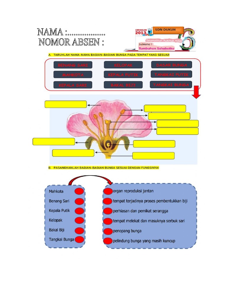 Lkpd Ipa Bagian Bunga Pdf Pdf