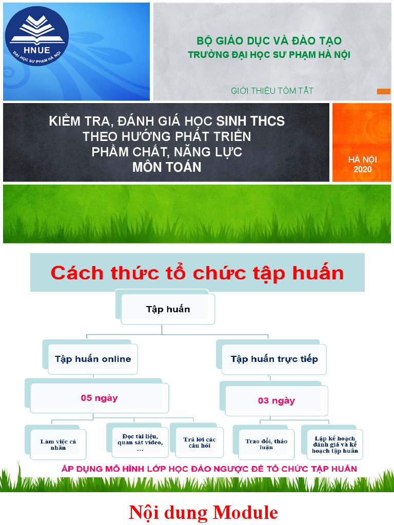 Infographic - Module 3.toan THCS | PDF