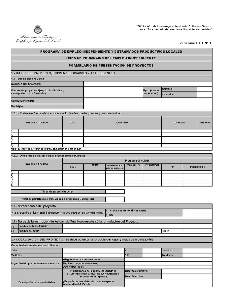 ANEXO I y II - Formulario Presentacion PEI 2014 | PDF