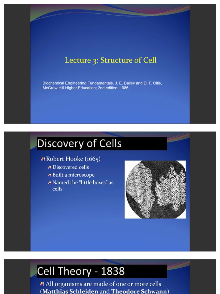 Lecture 3 | PDF Lecture 3 | PDF