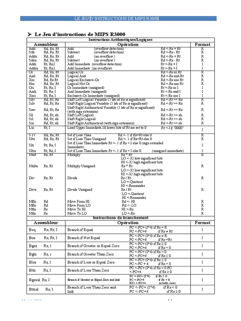 MIPS R3000 Instruction Set Overview | PDF