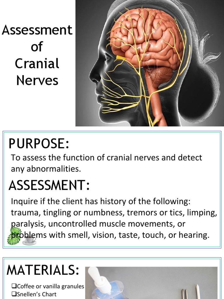 Assessment of Cranial Nerves | PDF | Elbow | Anatomical Terms Of Motion