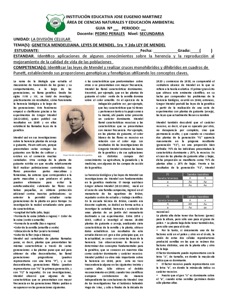 GUÍA 9o LEYES DE MENDEL PDF | PDF