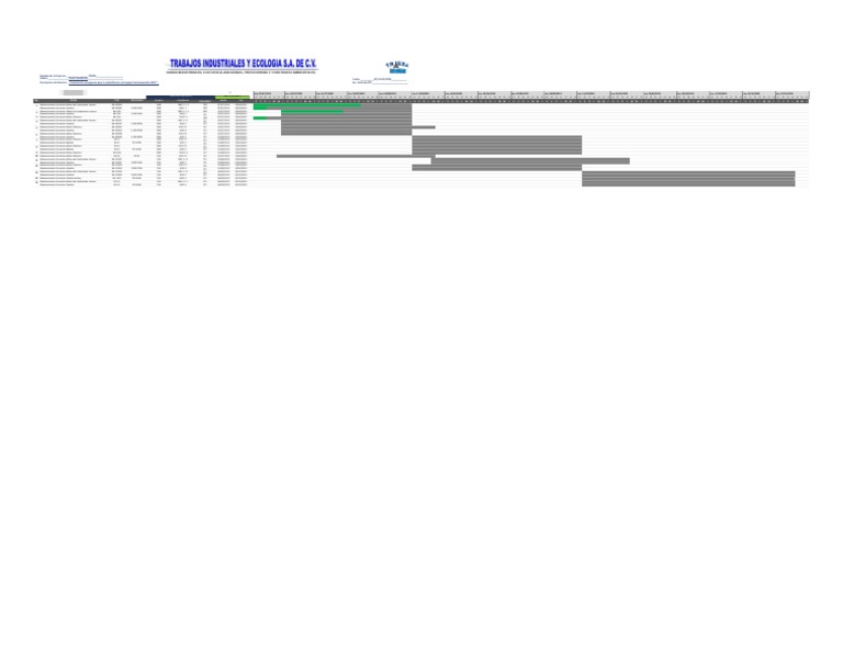 Programa Actividades GANTT - Servicios de Bombas TASP - TAD Pajarito | PDF | Motores | Vehículos