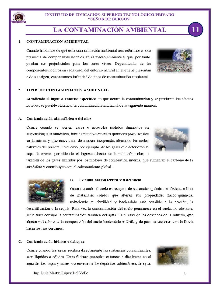 LA-La Contaminación Ambiental | PDF