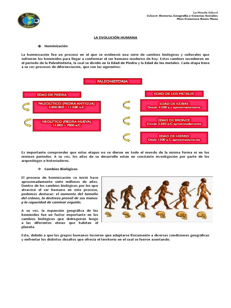 Guía 7mo Hominización | PDF | Evolución humana | Homo