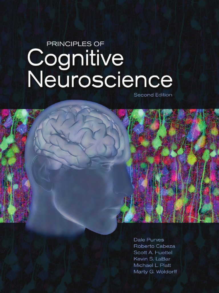 Vdoc.pub Principles of Cognitive Neuroscience | PDF