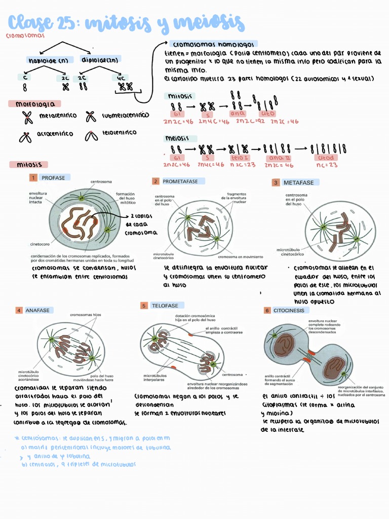 Clase 25 - 230703 - 220915657 | PDF