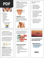 Anatomía de Los Senos Paranasales | PDF | Sistema esquelético | Morfología (biología)
