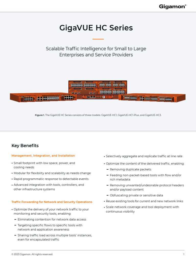 Ds Gigavue HC Series | PDF | Computer Network | Network Packet