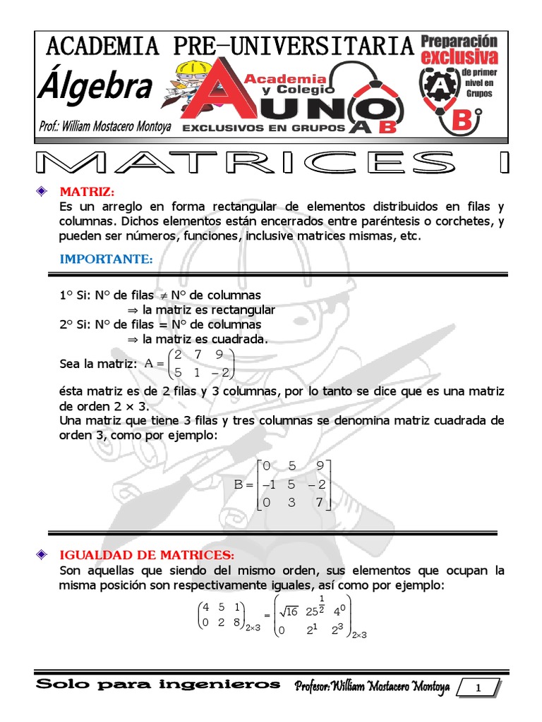 Ficha 01 Matrices I | PDF | Matriz (Matemáticas) | Relaciones matematicas