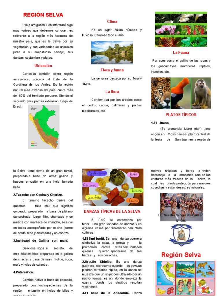 Región Selva | PDF