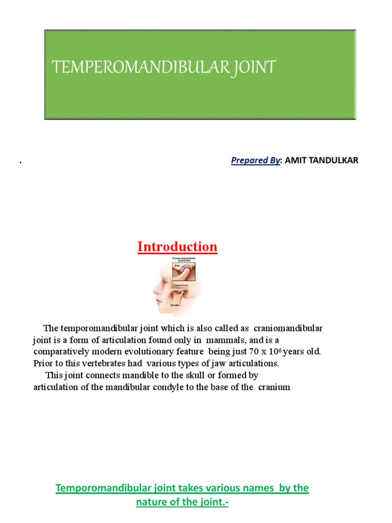 TMJ Anatomy and Disorder | PDF | Human Head And Neck | Medical Specialties