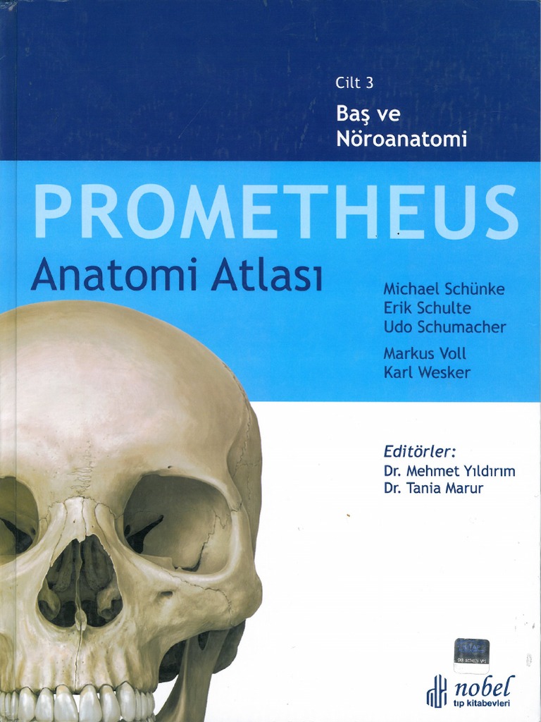 Prometheus 6 | PDF