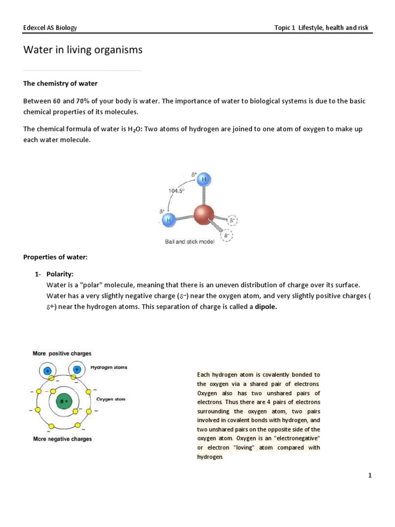 1 - Water in Living Organisms | PDF | Properties Of Water | Chemical Bond