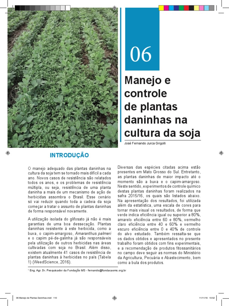 Controle de Buva e Amargoso | PDF