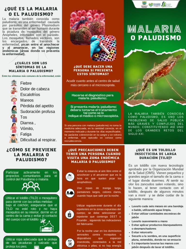 Malaria Folleto | PDF