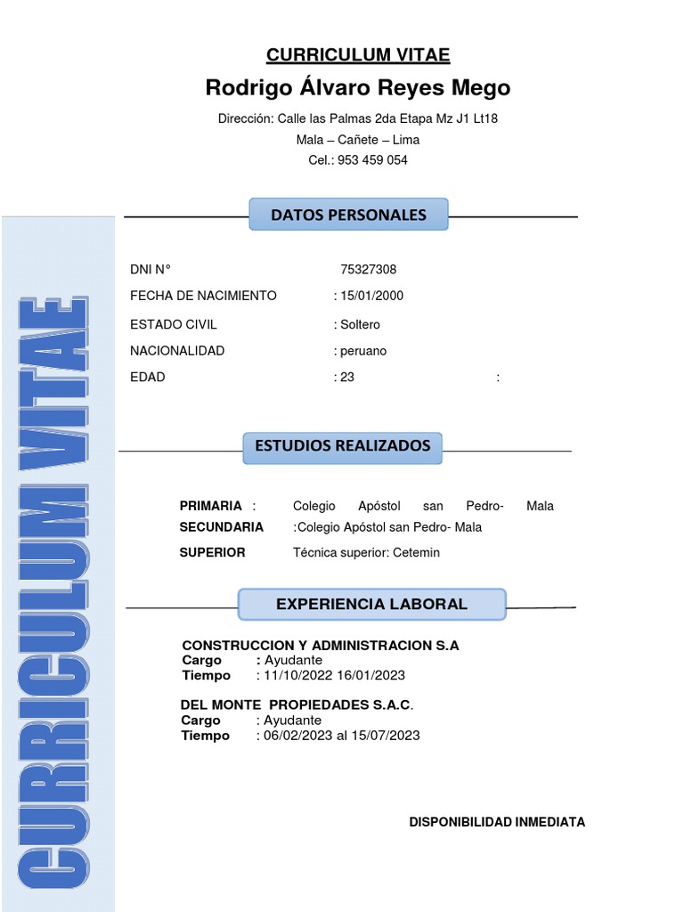 CV Rodrigo Reyes Mego | PDF