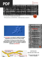 CAPÍTULO 17 - Prurigo Por Insectos (Cimiciasis) | PDF | Insecticida ...